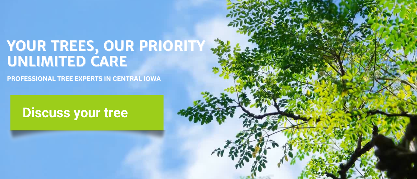 Unlimited Tree Service